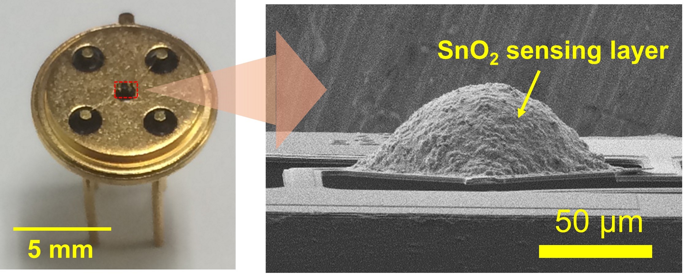Ultra-high sensitive detection of organic gases using micro-sized gas ...